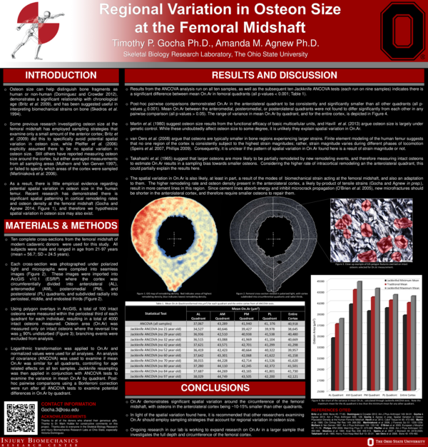 (PDF) Regional Variation in Osteon Size at the Femoral Midshaft