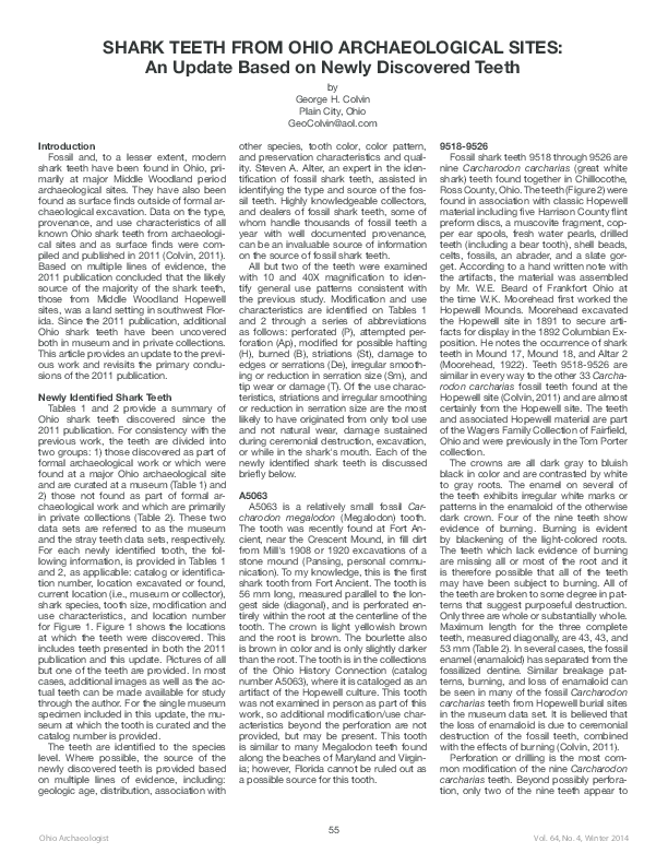 (PDF) Shark Teeth from Ohio Archaeological Sites: An Update Based on ...