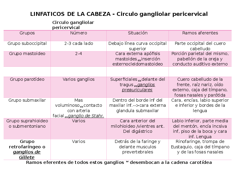 (DOC) LINFATICOS DE LA CABEZA -Circulo gangliolar pericervical