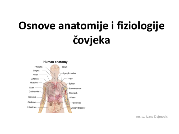 (PDF) Osnove anatomije i fiziologije