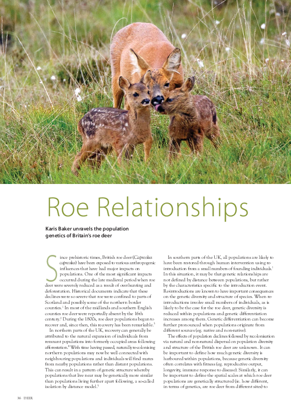(PDF) Roe relationships