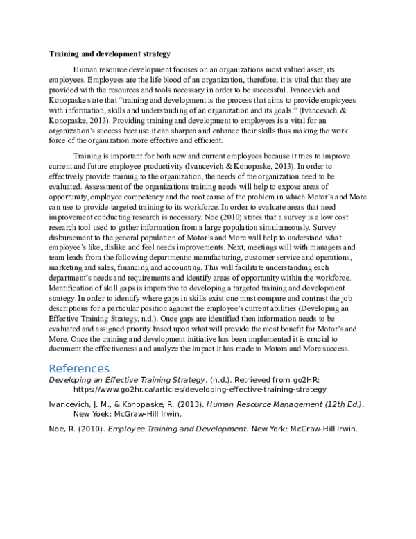 (DOC) Training and development strategy