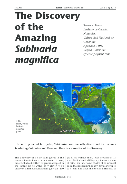 (PDF) The discovery of the amazing Sabinaria magnifica
