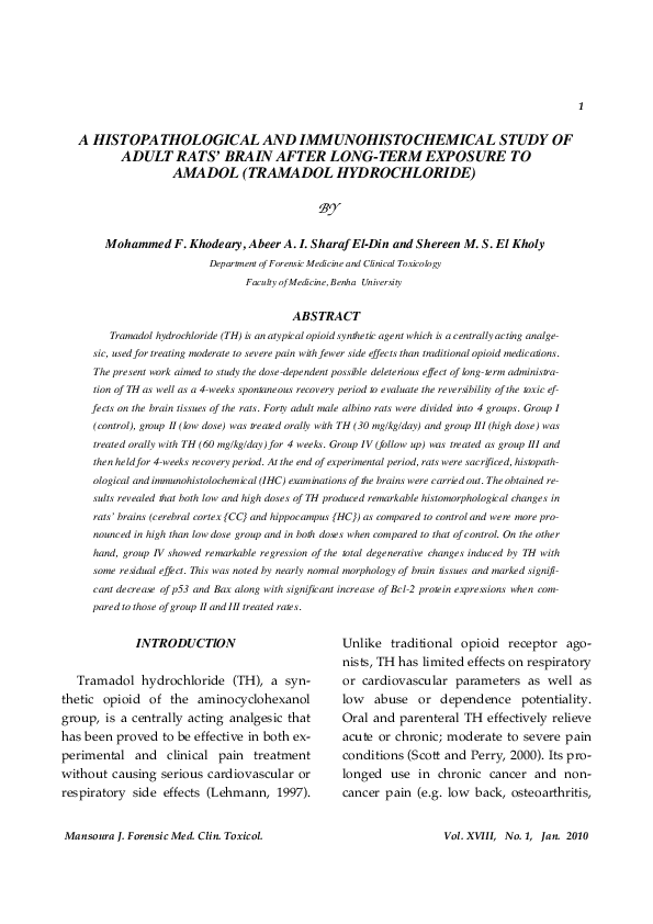 (PDF) A HISTOPATHOLOGICAL AND IMMUNOHISTOCHEMICAL STUDY OFADULT RATS ...