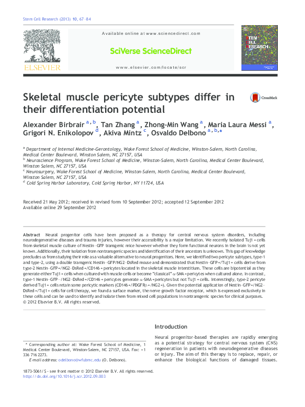 (PDF) Skeletal muscle pericyte subtypes differ in their differentiation ...