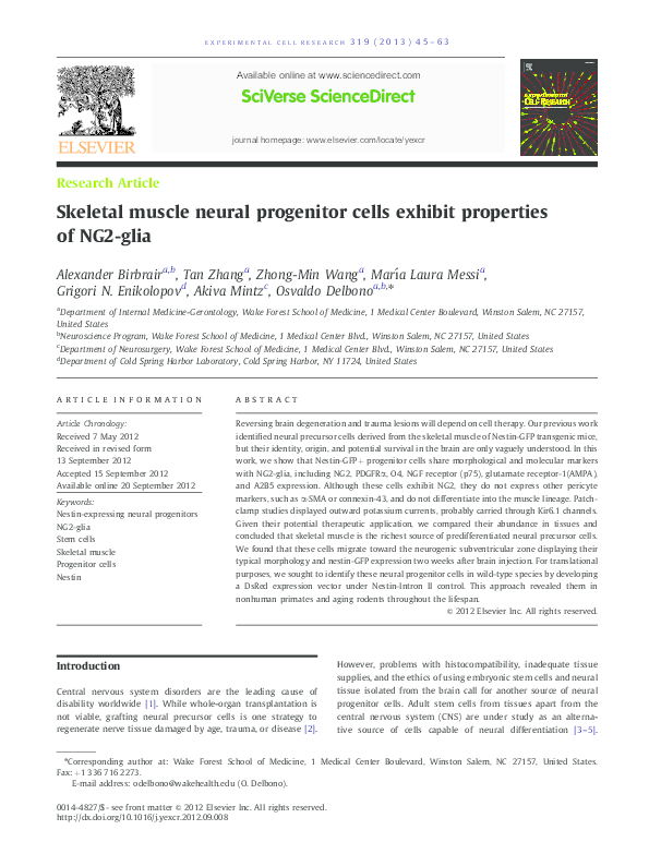 (PDF) Skeletal muscle neural progenitor cells exhibit properties of NG2 ...