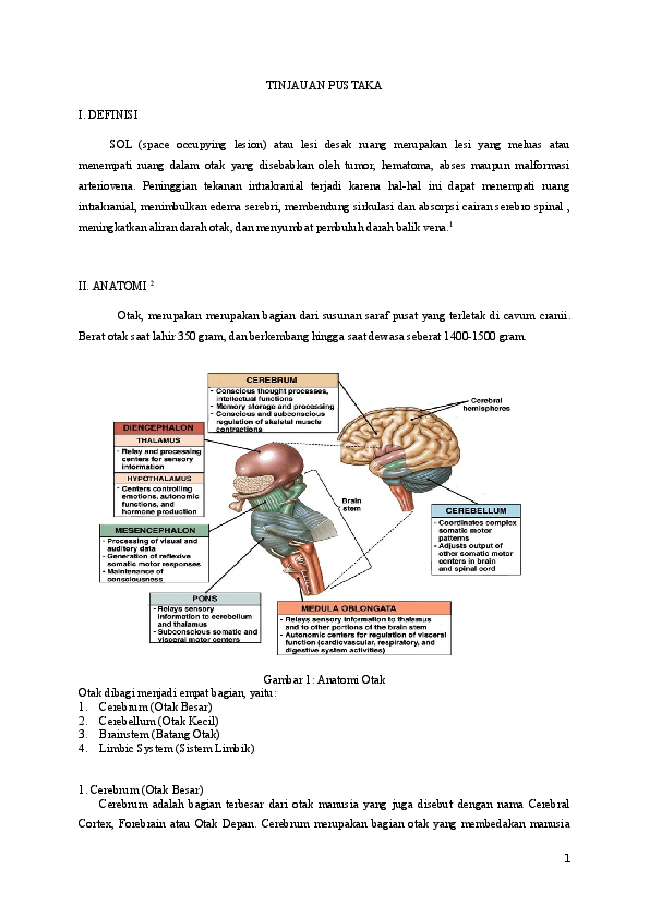 (DOC) CASE REPORT SOL