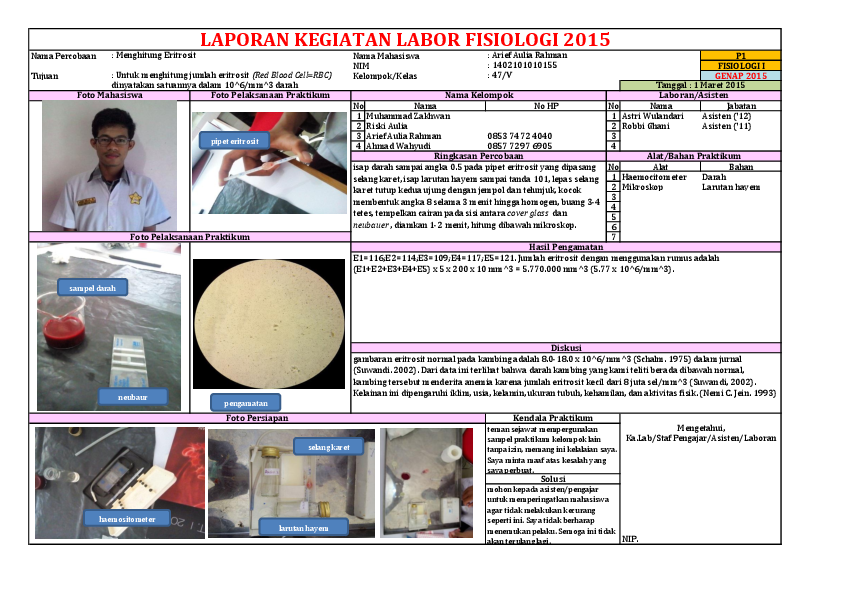 (PDF) Laporan Menghitung Eritrosit