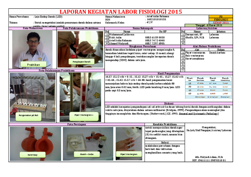 (PDF) Laporan Laju Endap Darah