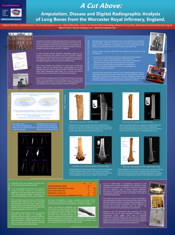 (PDF) A Cut Above: Amputation, Disease and Digital Radiographic ...
