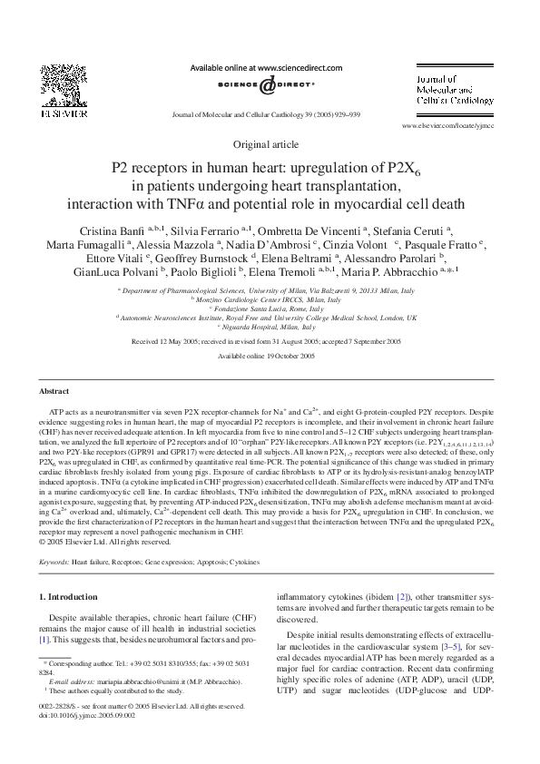 (PDF) P2 receptors in human heart: upregulation of P2X 6 in patients ...