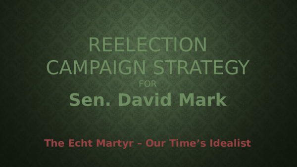(PPT) RE-ELECTION CAMPAIGN STRATEGY