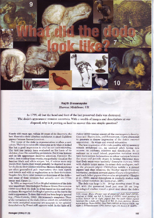 (PDF) What did the dodo look like?