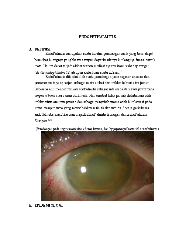 (DOC) ENDOPHTHALMITIS