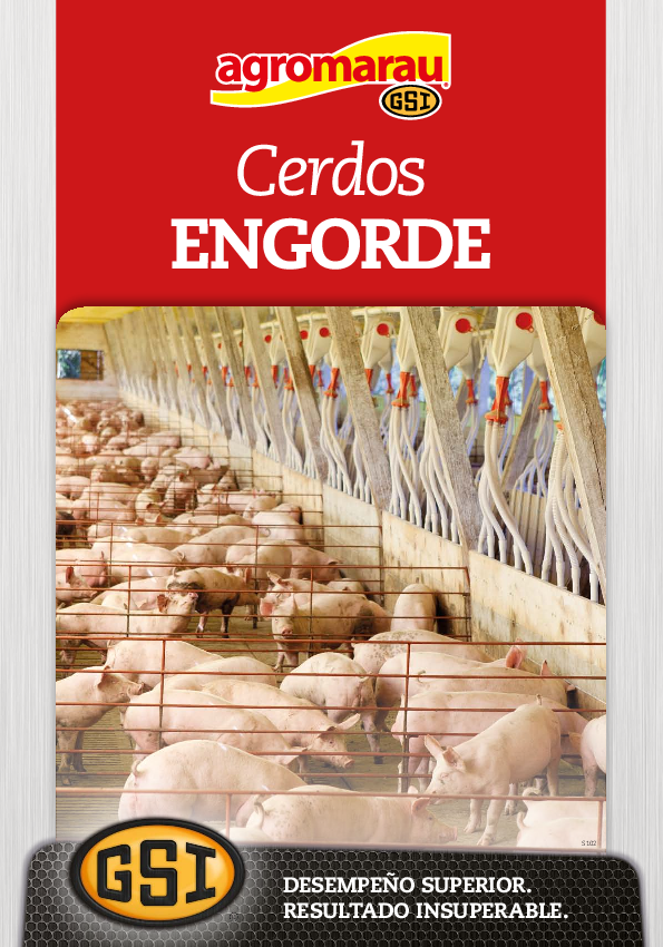 (PDF) CAT Cerdos Engorde