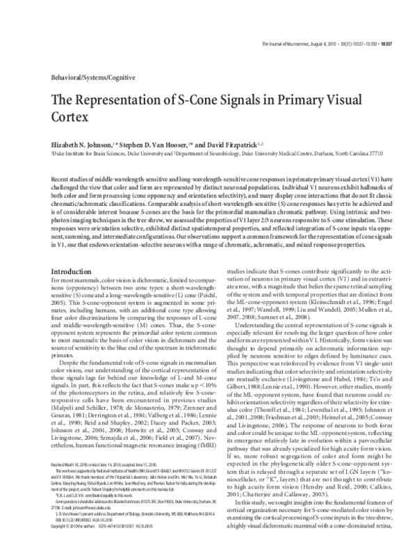 Pdf The Representation Of S Cone Signals In Primary Visual Cortex