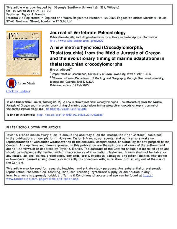 (PDF) A new metriorhynchoid (Crocodylomorpha, Thalattosuchia) from the ...