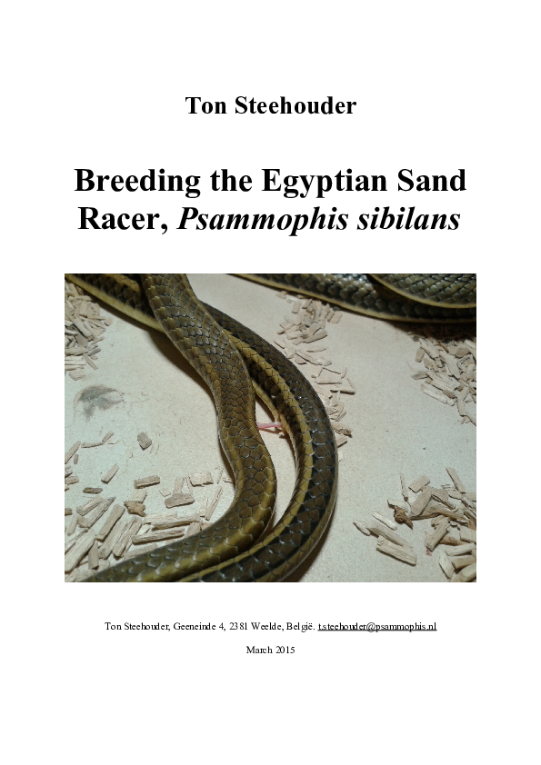 (PDF) Breeding the Egyptian Sand Snake, Psammophis sibilans