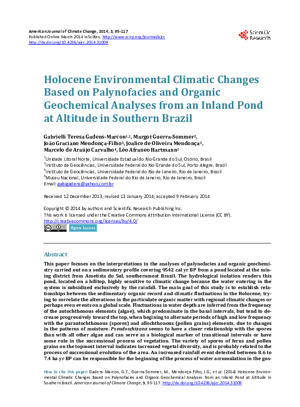 (PDF) Holocene Environmental Climatic Changes Based on Palynofacies and ...