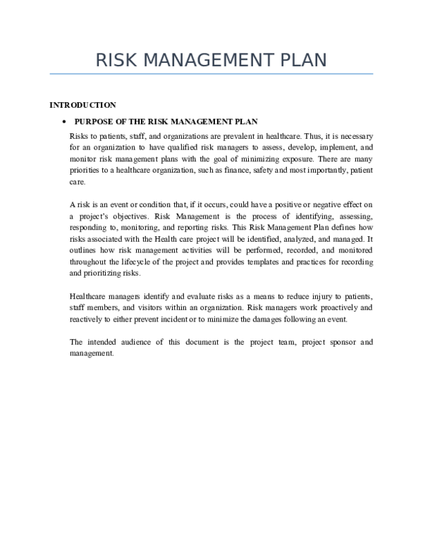 (DOC) RISK MANAGEMENT PLAN
