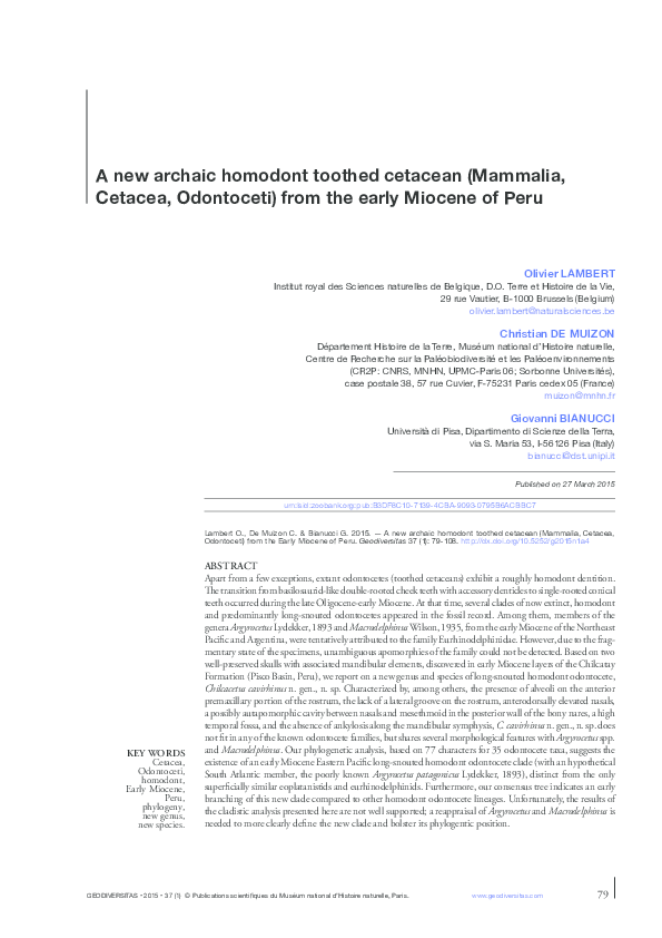 A new archaic homodont toothed whale (Mammalia, Cetacea, Odontoceti ...