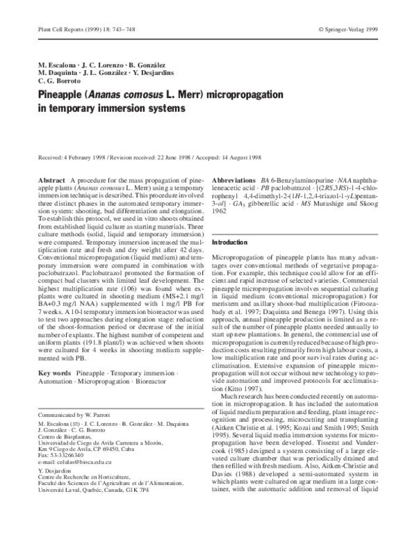 (PDF) Pineapple micropropagation in temporary immersion systems