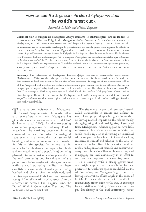 (PDF) How to see Madagascar Pochard Aythya innotata, the world’s rarest ...