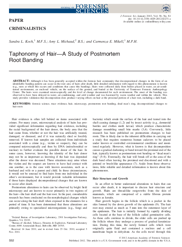 (PDF) Taphonomy of Hair—A Study of Postmortem Root Banding