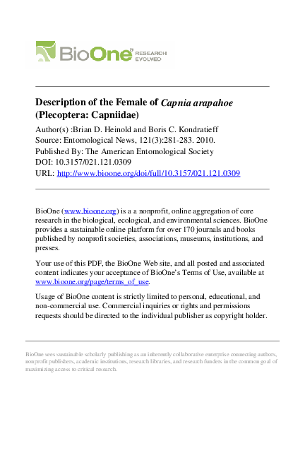(PDF) Description of the Female of Capnia arapahoe (Plecoptera: Capniidae)