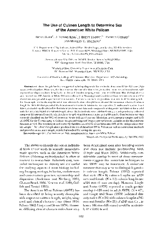 (PDF) The Use of Culmen Length to Determine Sex of the American White ...