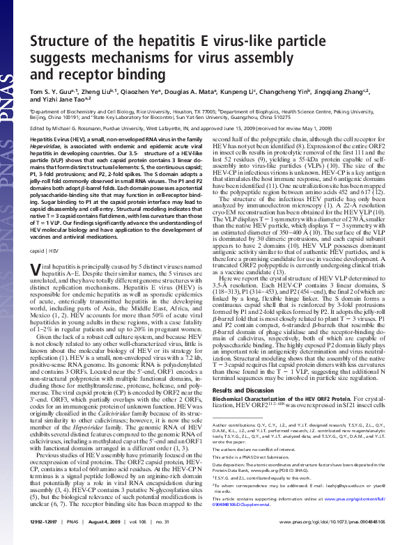 (PDF) Structure of the hepatitis E virus-like particle suggests ...