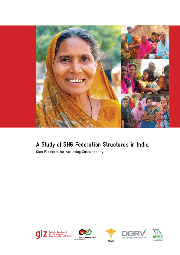 (PDF) A Study of SHG Federation Structures in India: Core Elements for ...