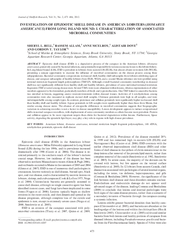 (PDF) Investigation of Epizootic Shell Disease in American Lobsters ...