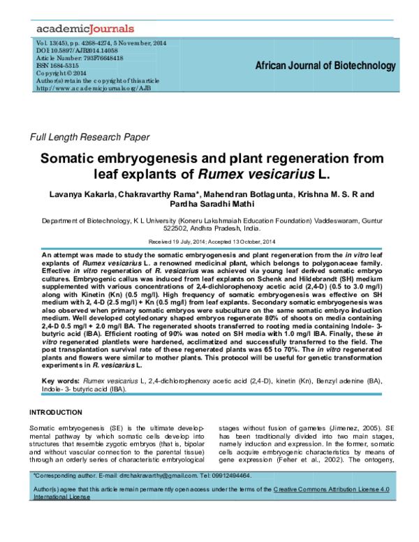 (PDF) Somatic Embryogenesis