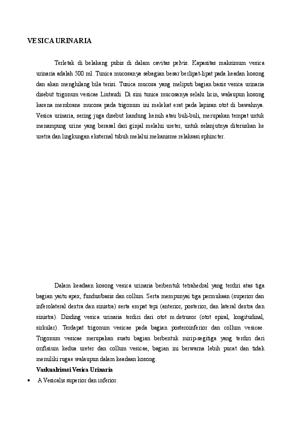 (DOC) vesika urinaria