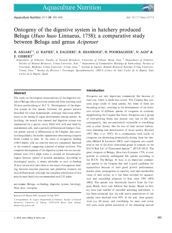 (PDF) Ontogeny of the digestive system in hatchery produced Beluga ...