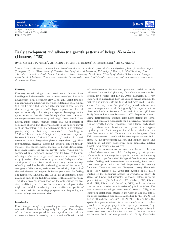 (PDF) Early development and allometric growth patterns of beluga Huso ...