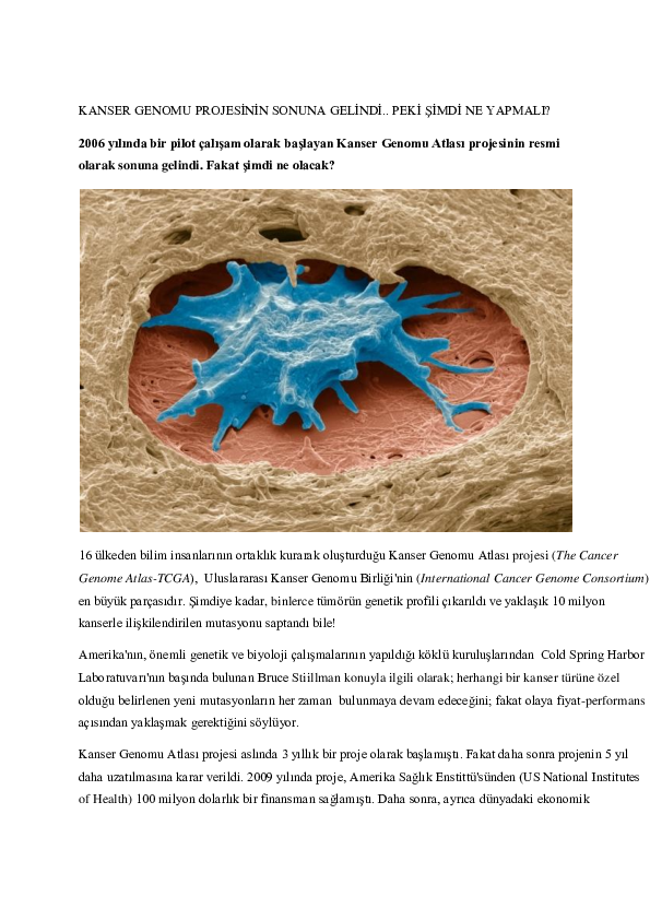 (PDF) Kanser Genom Projesi'nin sonuna gelindi. Peki şimdi ne yapmalı?-Bilimsol