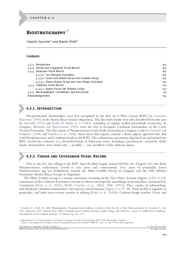 (PDF) Chapter 4.3 Biostratigraphy