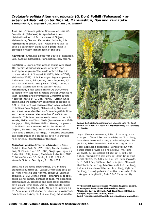 (PDF) Crotalaria pallida Aiton var. obovata (G. Don) Polhill (Fabaceae ...