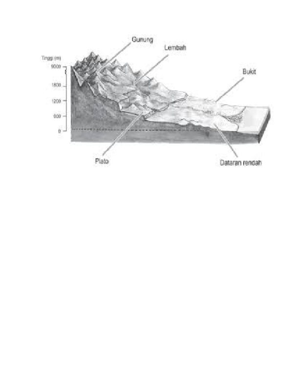 (DOC) dataran relief