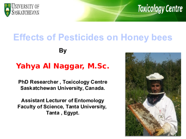 (PPT) Lecture: Effects of Pesticides on Honey bees for 4th year senior ...