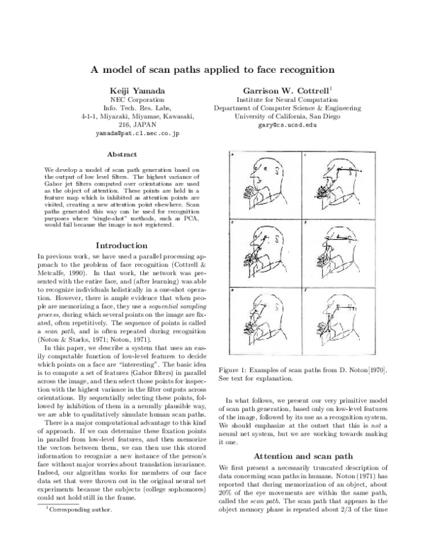 (PDF) Keiji Yamada and Garrison W. Cottrell (1995) A model of scan ...
