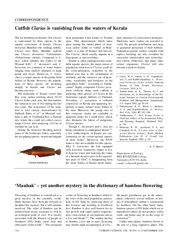 (PDF) Catfish Clarias is vanishing from the waters of Kerala