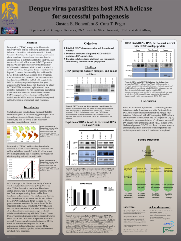 (PDF) Sigma Symposium Poster 2015