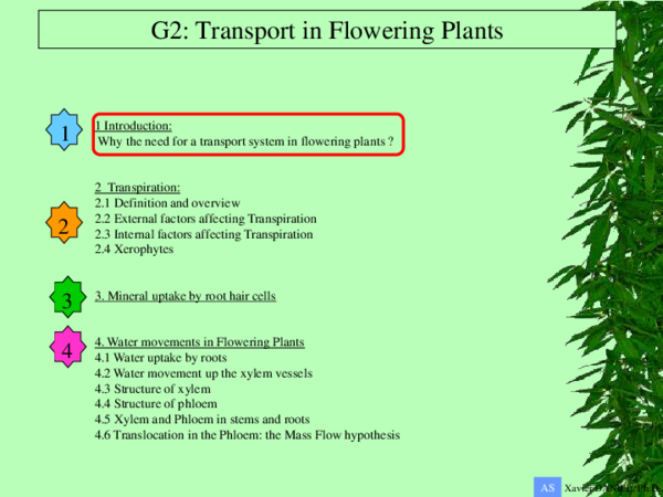 (PDF) AS CIE Transport in Plants