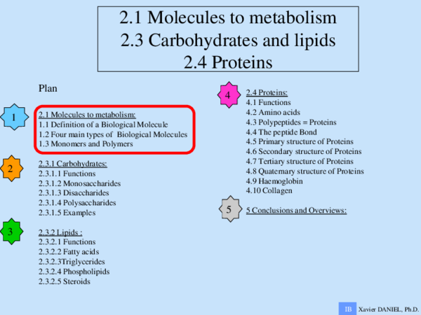 Structure And Function Of Carbohydrates Lipids Proteins | Makeupview.co