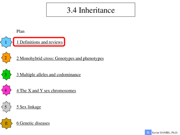 Pdf Ib 3 4 Inheritance