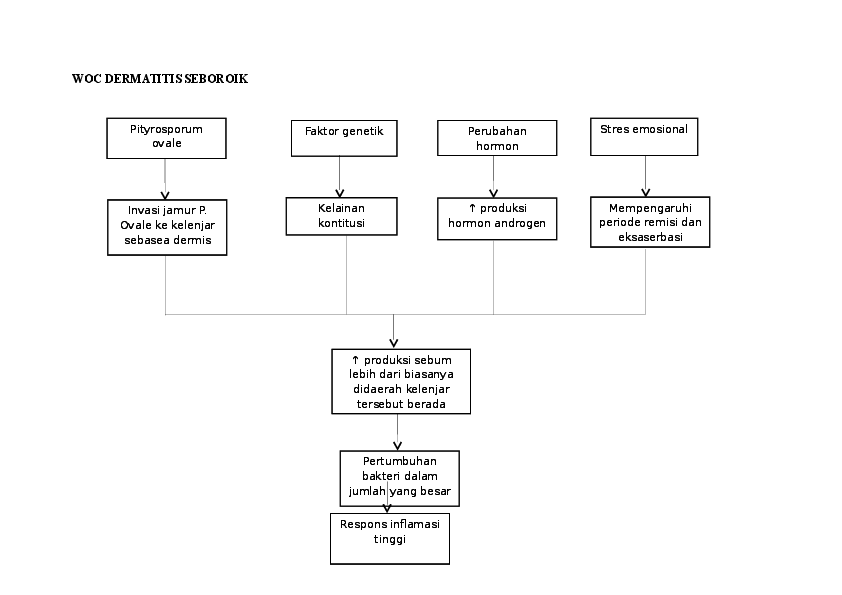 (DOC) WOC Dermatitis Seboroik
