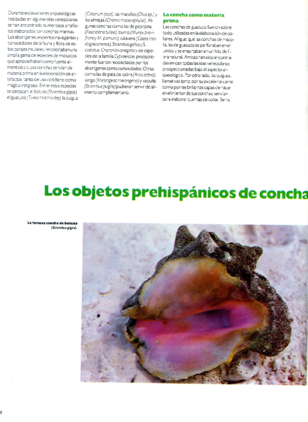 (PDF) Los Objetos Prehispánicos de Concha
